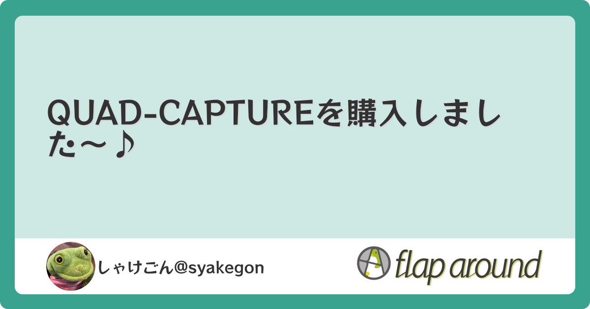 QUAD-CAPTUREを購入しました〜♪ - flap around